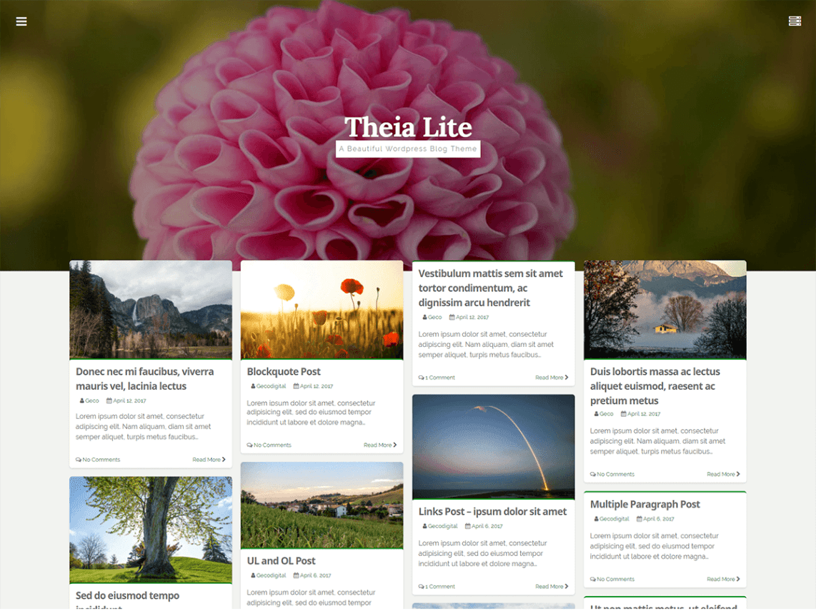 Theia Lite - WordPress Theme | 2025